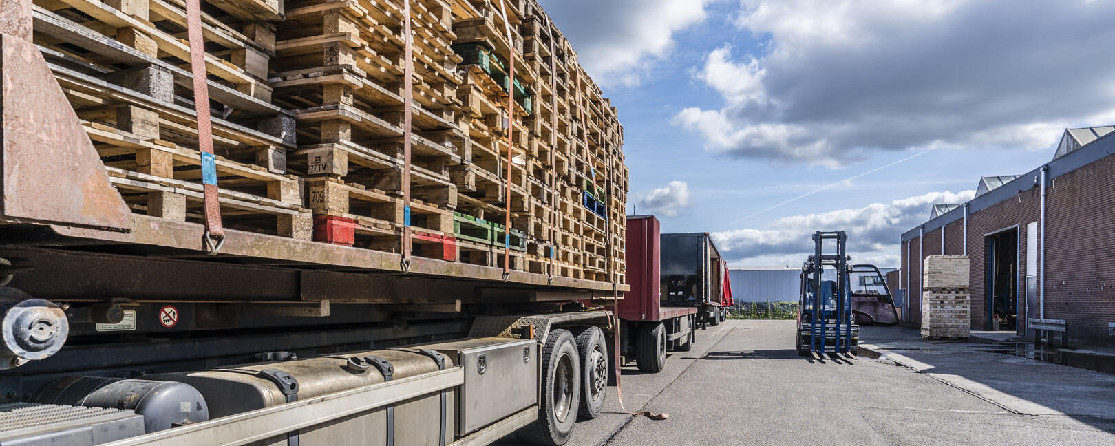 Nieuwe en gebruikte pallets te koop - Palletrecycling